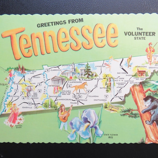 Tennessee Postcard - Etsy