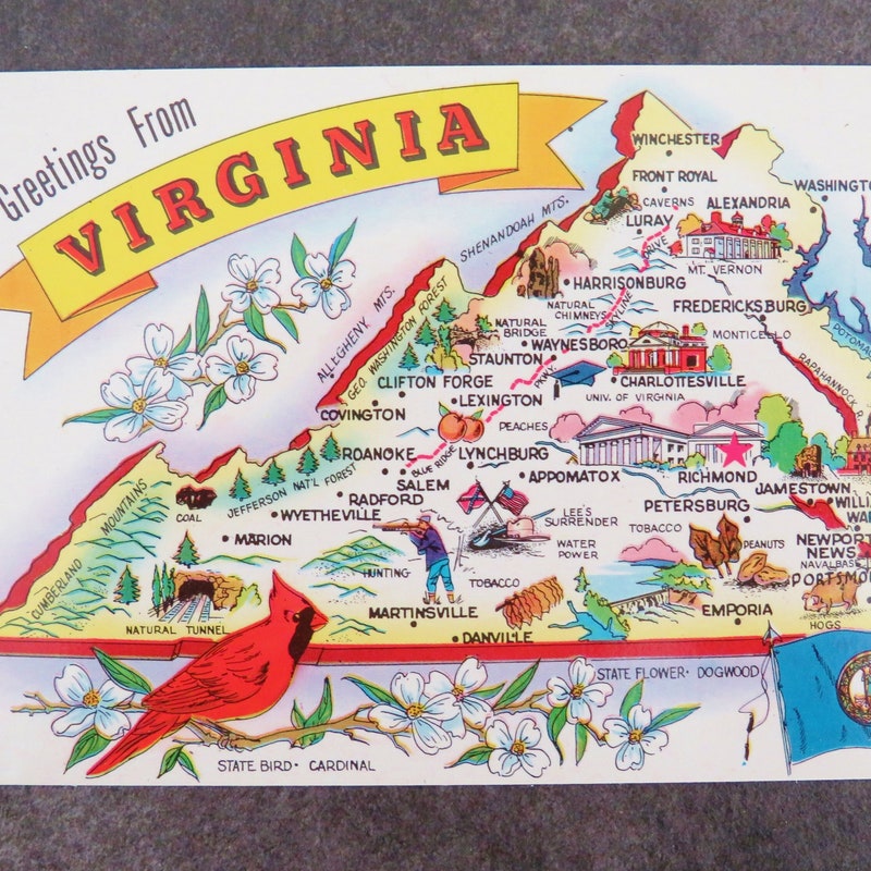 Virginia Postcards - Etsy