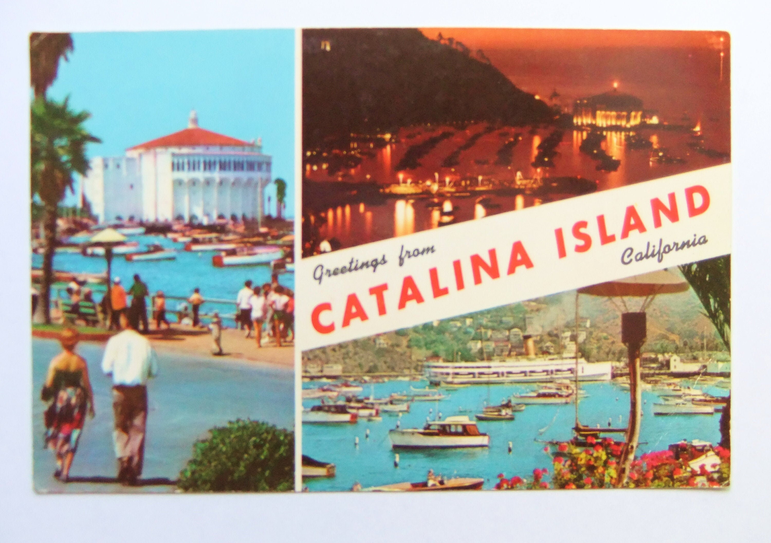 Catalina Island Postcard Unused Vintage Postcard Avalon Bay | Etsy