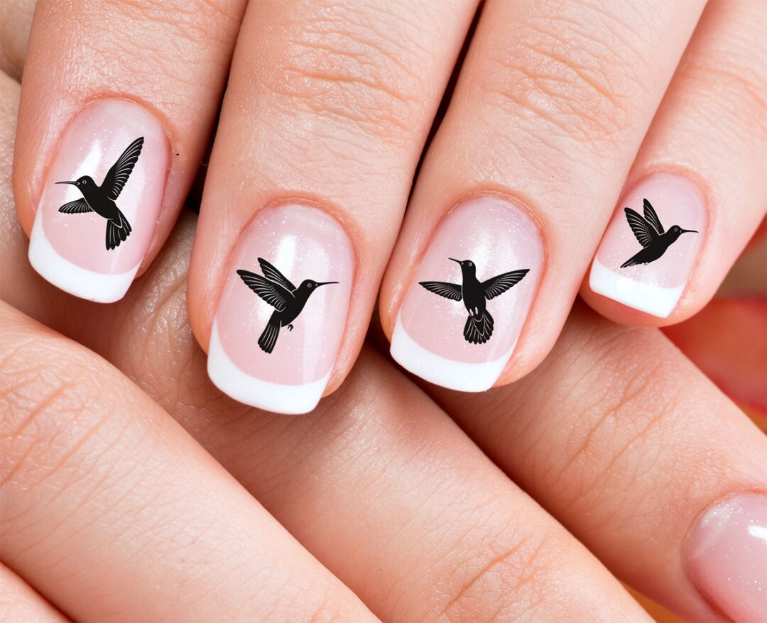 HUMMINGBIRD Waterslide Decals / 49 Humming Bird Nail Art MEGAPACKS ...