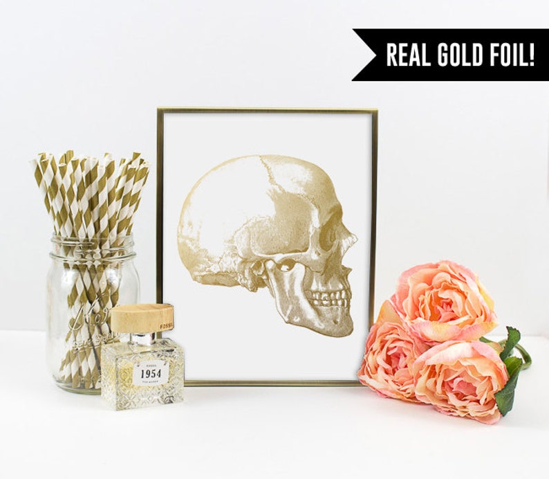 Gold Foil Skull Gold Anatomy Poster Medical Wall Art Human - Etsy