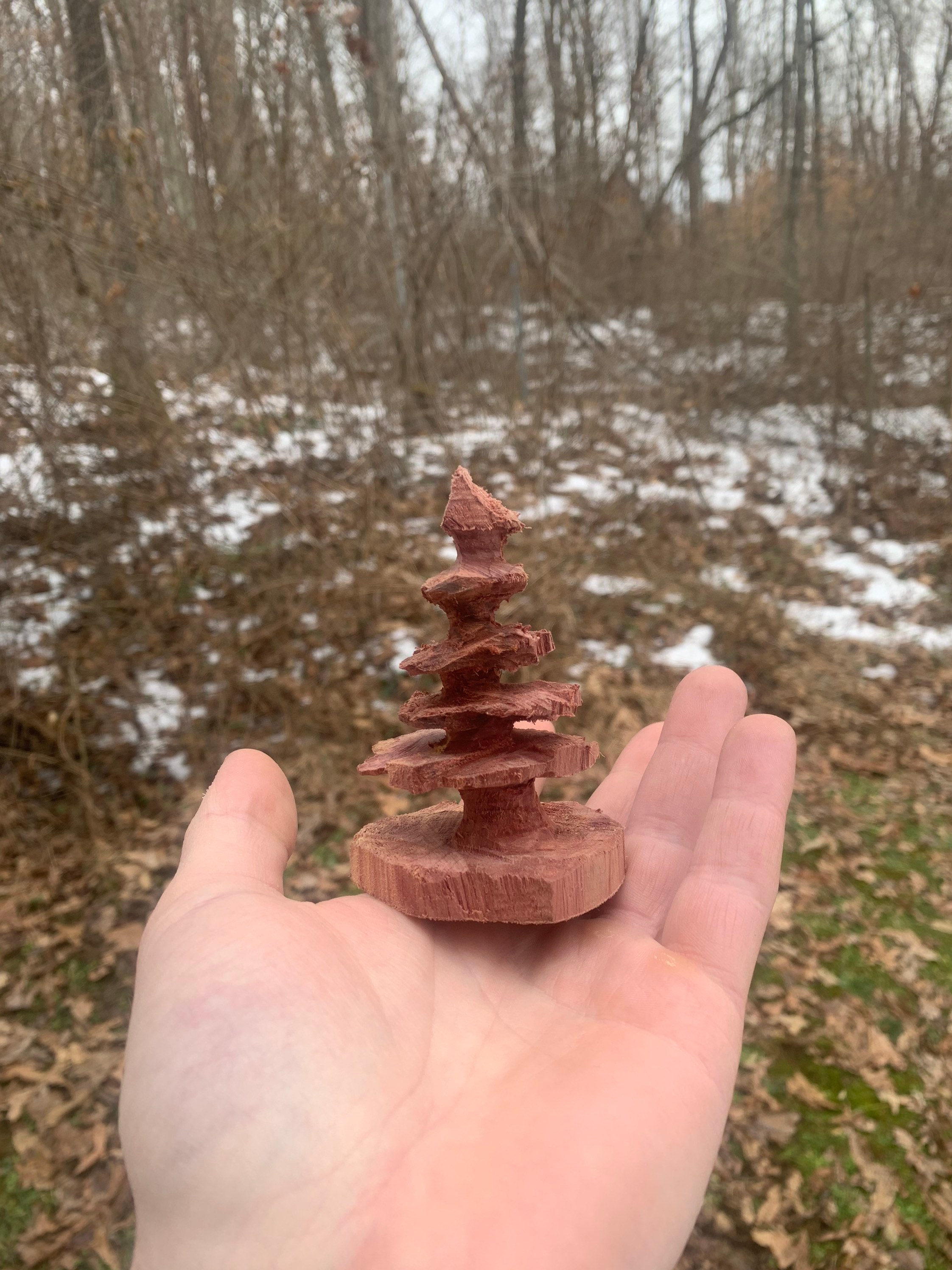 Cedar Tree Chainsaw Carving, Wood Carving, Hand Carved Wood Art ...