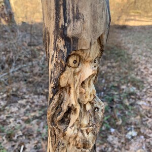 Driftwood Carving Skull Wood Carving Hand Carved Wood Art by Josh Carte ...