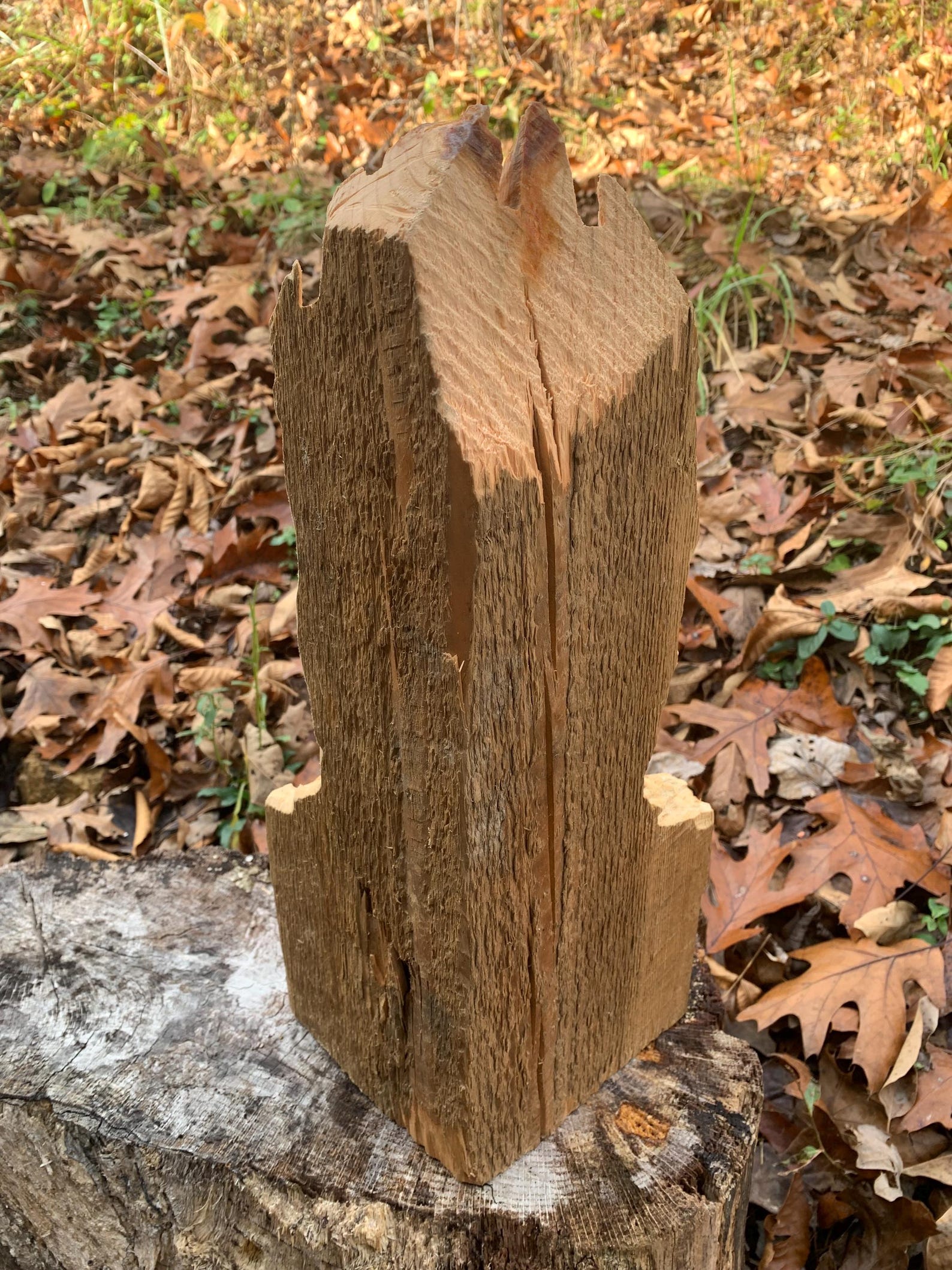 Female Face Wood Carving Bust Sculpture Perfect Wood Gift Carving of a ...