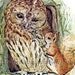 Old Mr. Brown ~ Beatrix Potter ~ Squirrel Nutkin ~ 2 Counted Cross ...