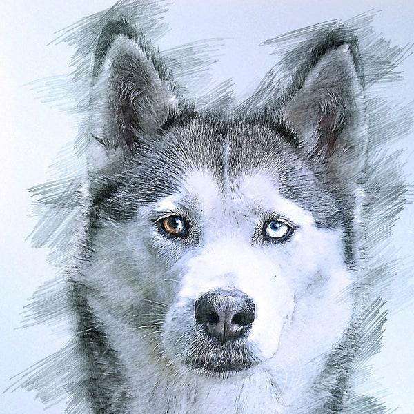 Lucy Dawson Dogs - Etsy