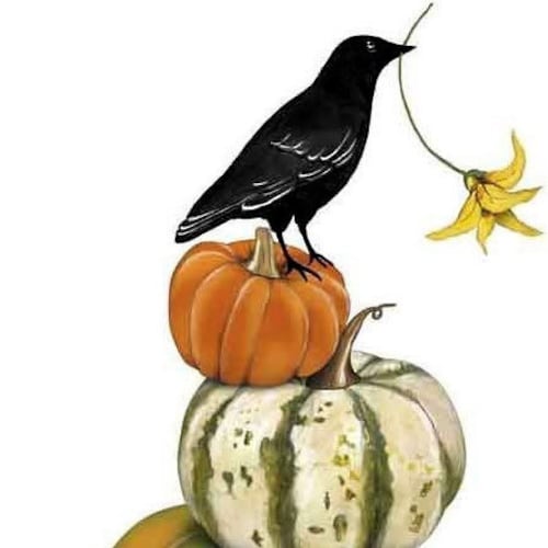 Crow Squash Pumpkins Autumn 2 DIY Counted Cross Stitch - Etsy