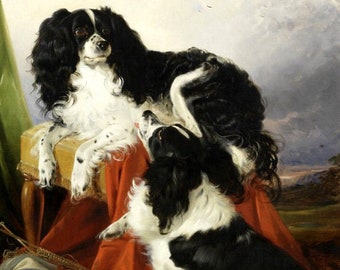 King Charles Cavalier Spaniel Cross Stitch Pattern Only - Etsy