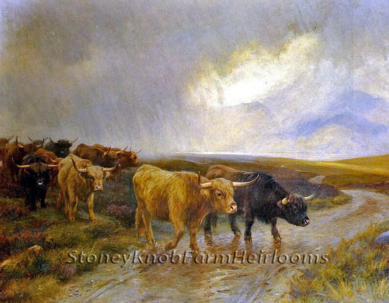 Highland Cattle Crossing a Stream Cows Animals DIY 2 - Etsy