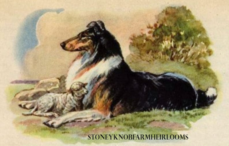 Collie and Lamb ~ Dogs, Edwin Megargee ~ DIY 2 Cross Stitch Patterns ...