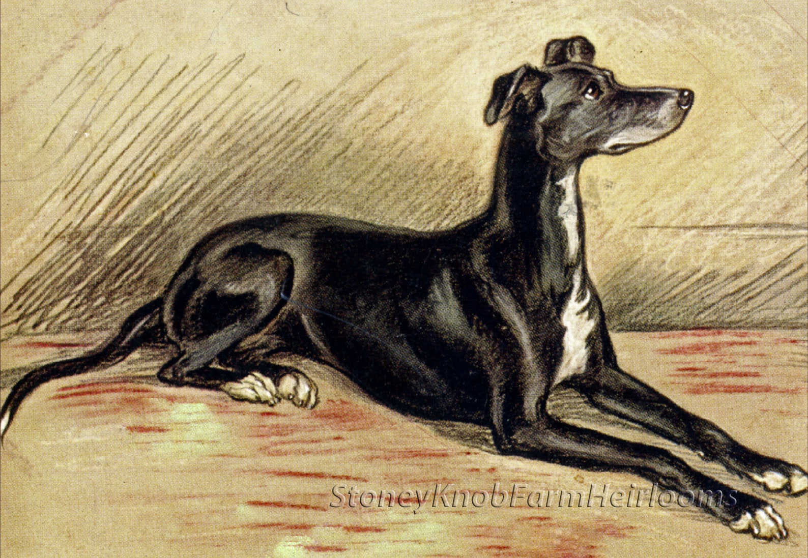 Black Greyhound ~ Dogs ~ DIY 2 Cross Stitch Patterns ~ One in Color and ...