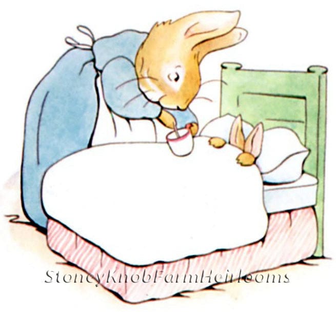 Peter Gets Chamomile Tea ~ Peter Rabbit, Beatrix Potter - Cross Stitch ...