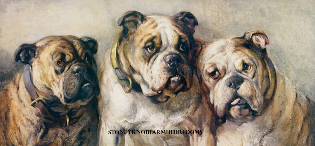 Three Bulldogs ~ Dogs ~ DIY 2 Cross Stitch Patterns ~ Color and ...