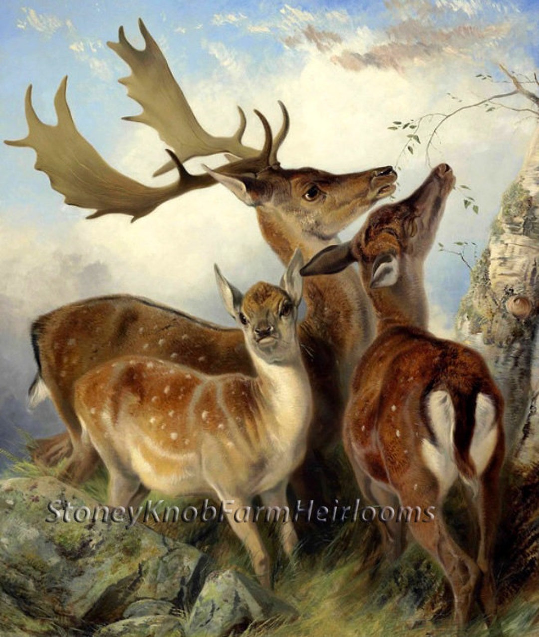 Fallow Deer ~ Animals, Nature ~ DIY 2 Cross Stitch Patterns in Color ...