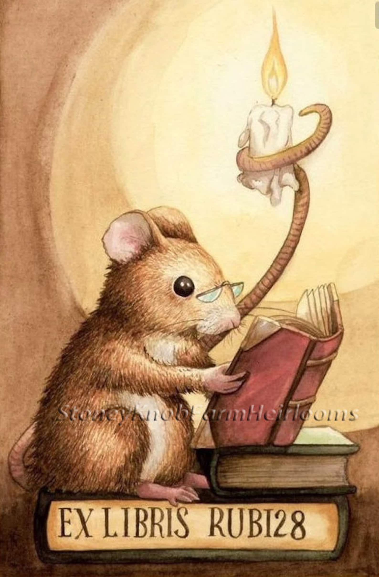 Mouse Reading ~ Vintage Bookplate ~ DIY Cross Stitch Pattern in Color ...