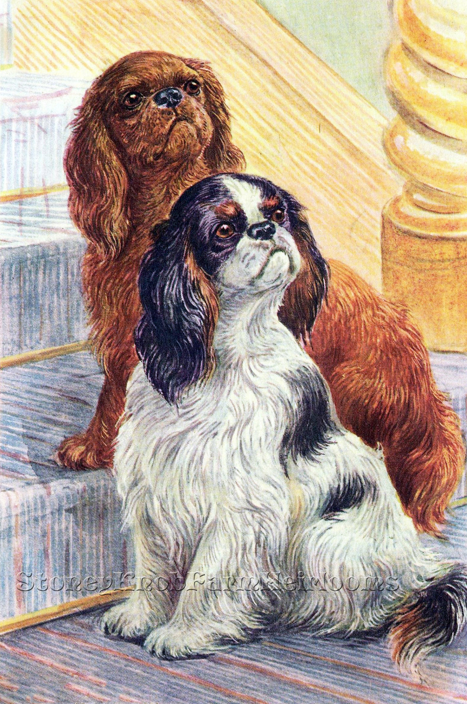 King Charles Spaniels ~ Dogs, Puppies ~ DIY 2 Cross Stitch Patterns ...