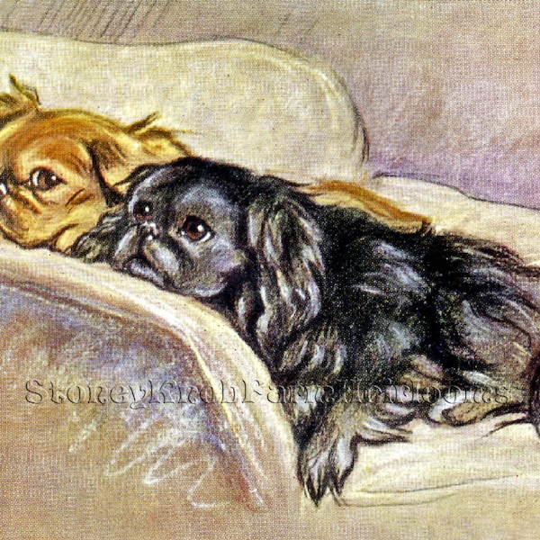 Lucy Dawson Dogs - Etsy