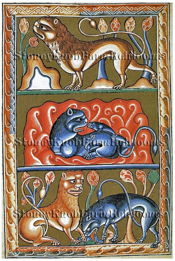 Old English Bestiary Illuminated Pages Spiritual Animals | Etsy