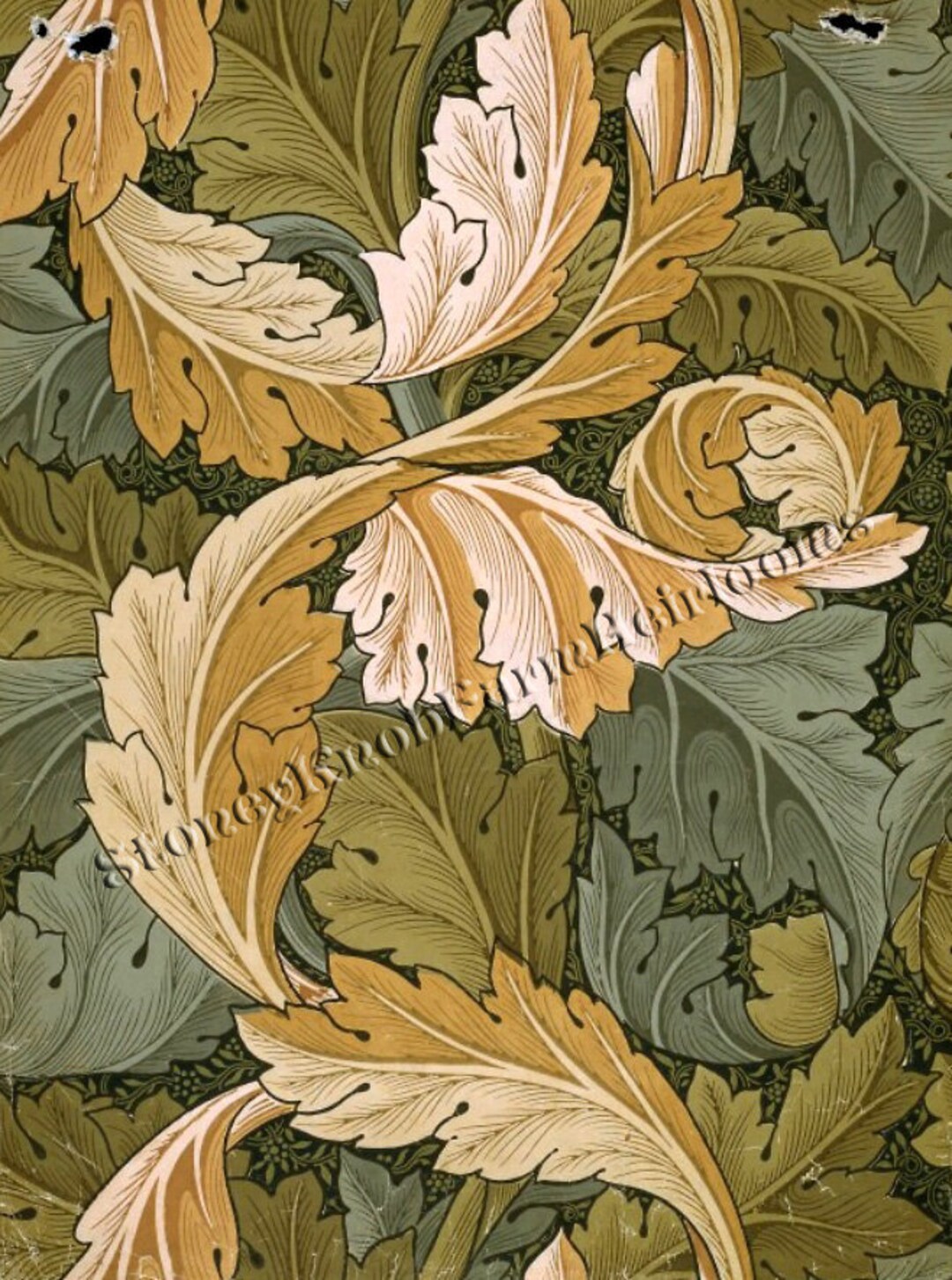 Acanthus 1 ~ William Morris ~ 2 DIY Cross Stitch Patterns One in Color ...