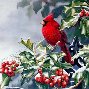 Cardinal in Wintery Holly Bush ~ Birds, Christmas ~ Cross Stitch ...