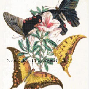 Butterflies on Flowers ~ Insects, Gardens ~ DIY Cross Stitch Pattern in ...