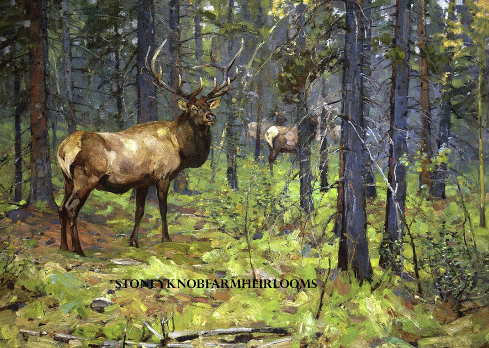 The Herd Bull Elk Animals Nature Carl Rungius DIY 2 | Etsy