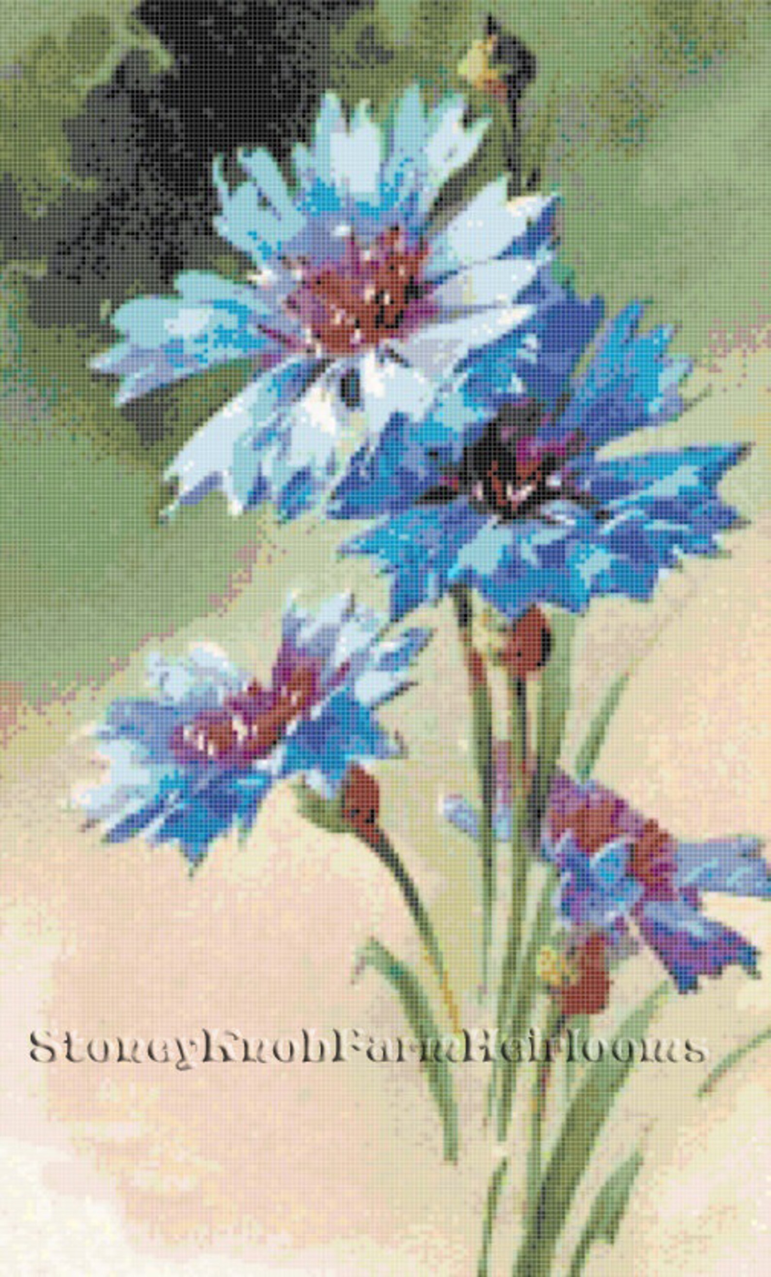 Blue Aster Flowers ~ Catherine Klein ~ DIY 2 Cross Stitch Patterns ...