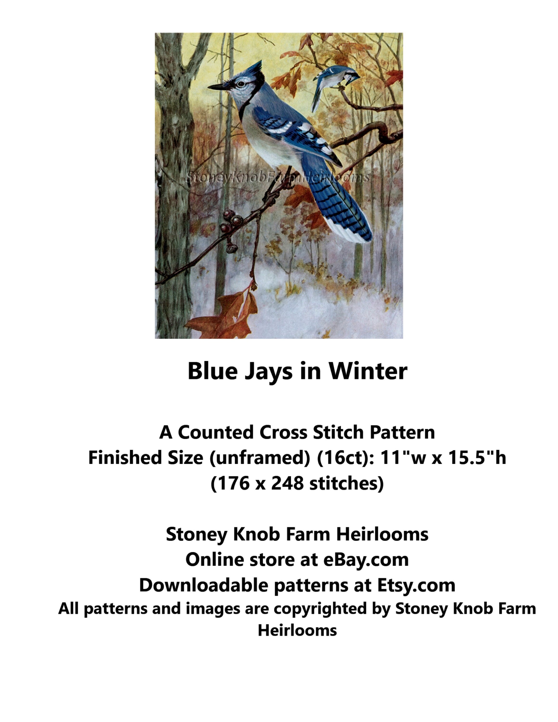 Blue Jays in Winter~ Birds ~ Cross Stitch Pattern in Color and Blkwht ...