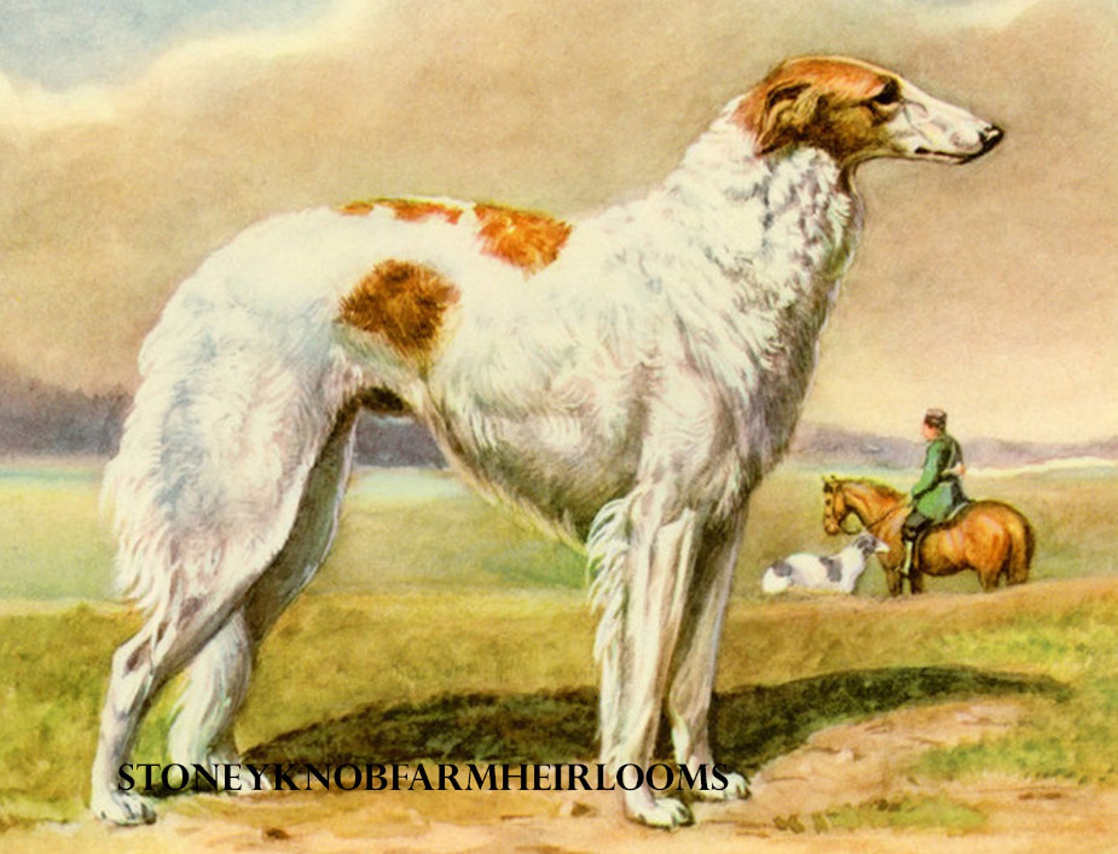 Borzoi ~ Vintage Champion ~ Dogs ~ 2 Counted Cross Stitch Patterns ...