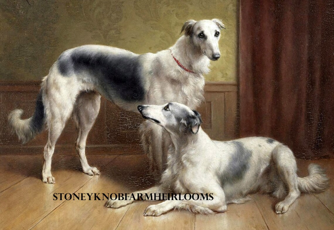 A Pair of Borzois ~ Carl Reichert ~ Dogs ~ DIY 2 Cross Stitch Patterns ...