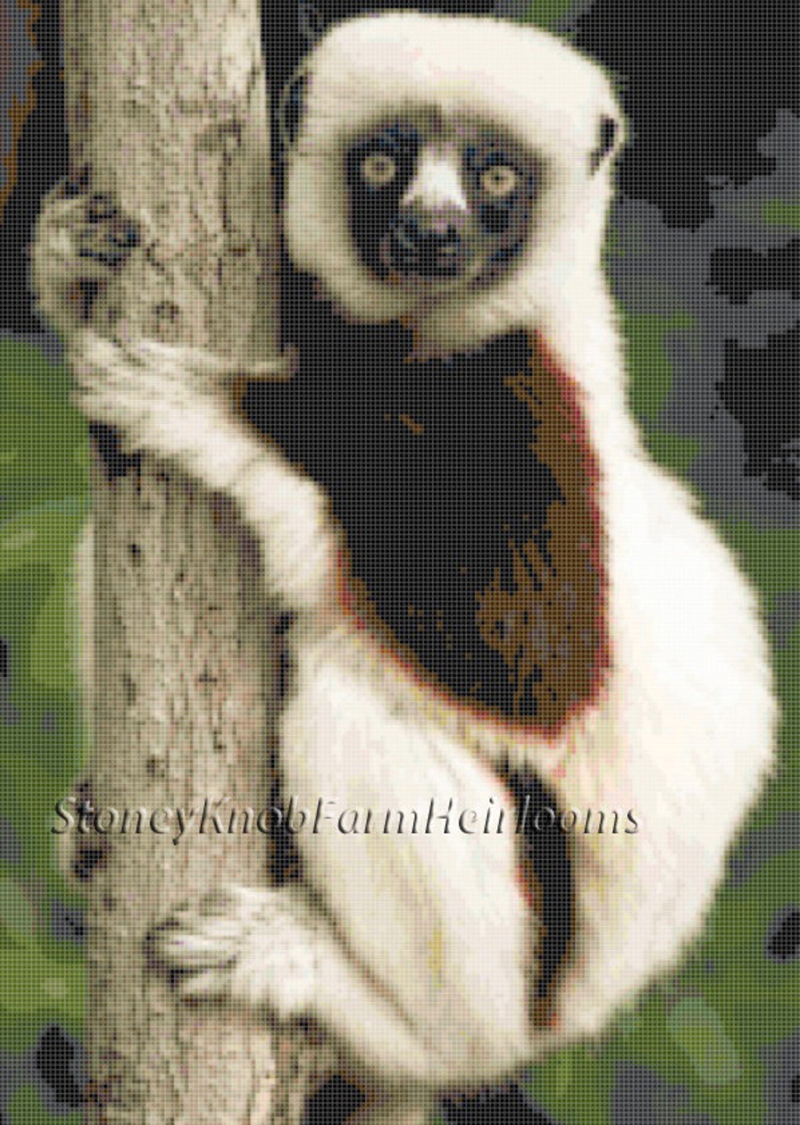 Madagascar Lemur ~ Animals ~ DIY 2 Cross Stitch Patterns ~ One in Color ...