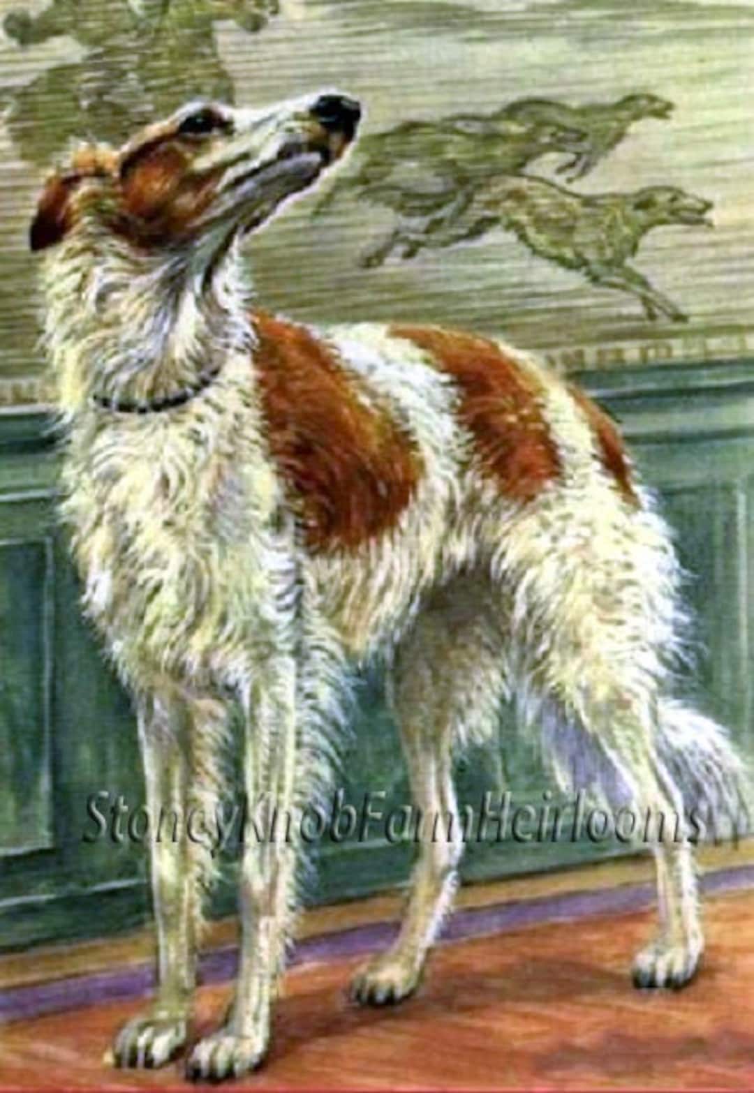 Borzoi ~ Dogs, Puppies ~ 2 Counted Cross Stitch Patterns Color & Blkwht ...