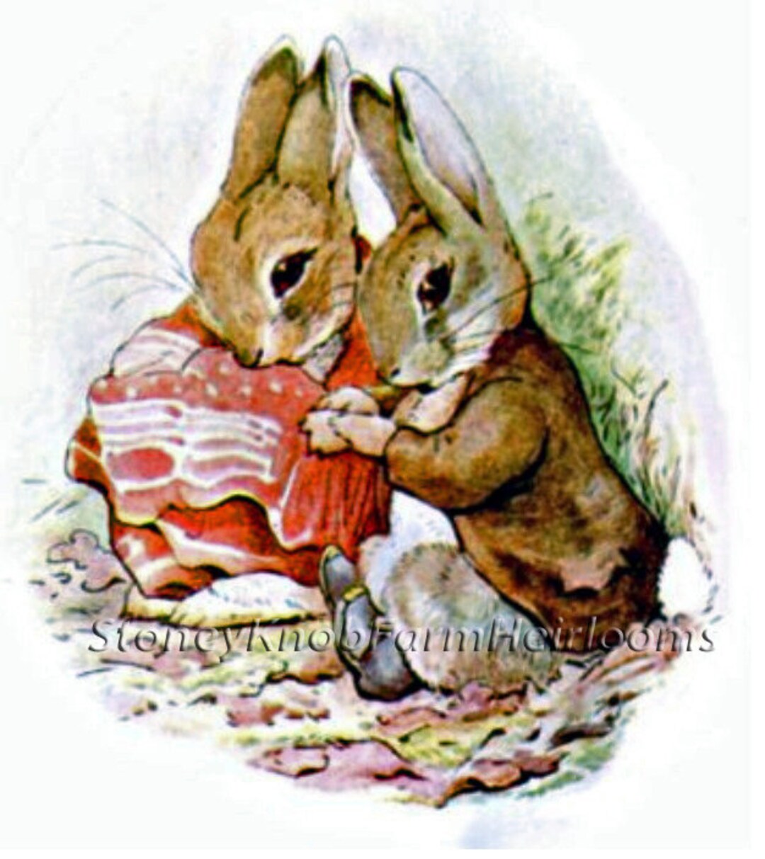 Benjamin Bunny and Peter Rabbit ~ Beatrix Potter ~ DIY 2 Cross Stitch ...