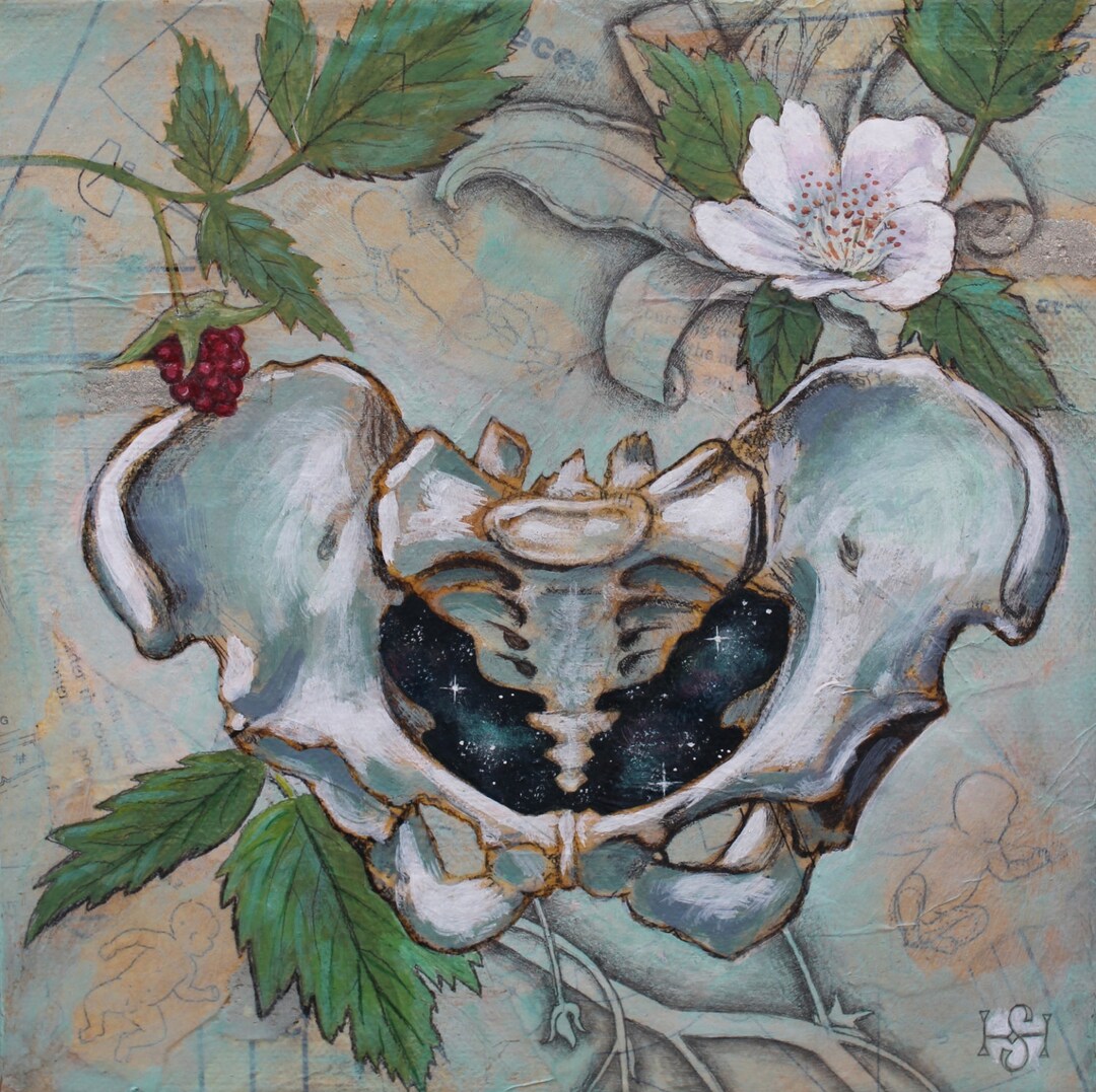 Anatomy,female Pelvis,botanical,mothering,birth,human Anatomy,midwifery ...