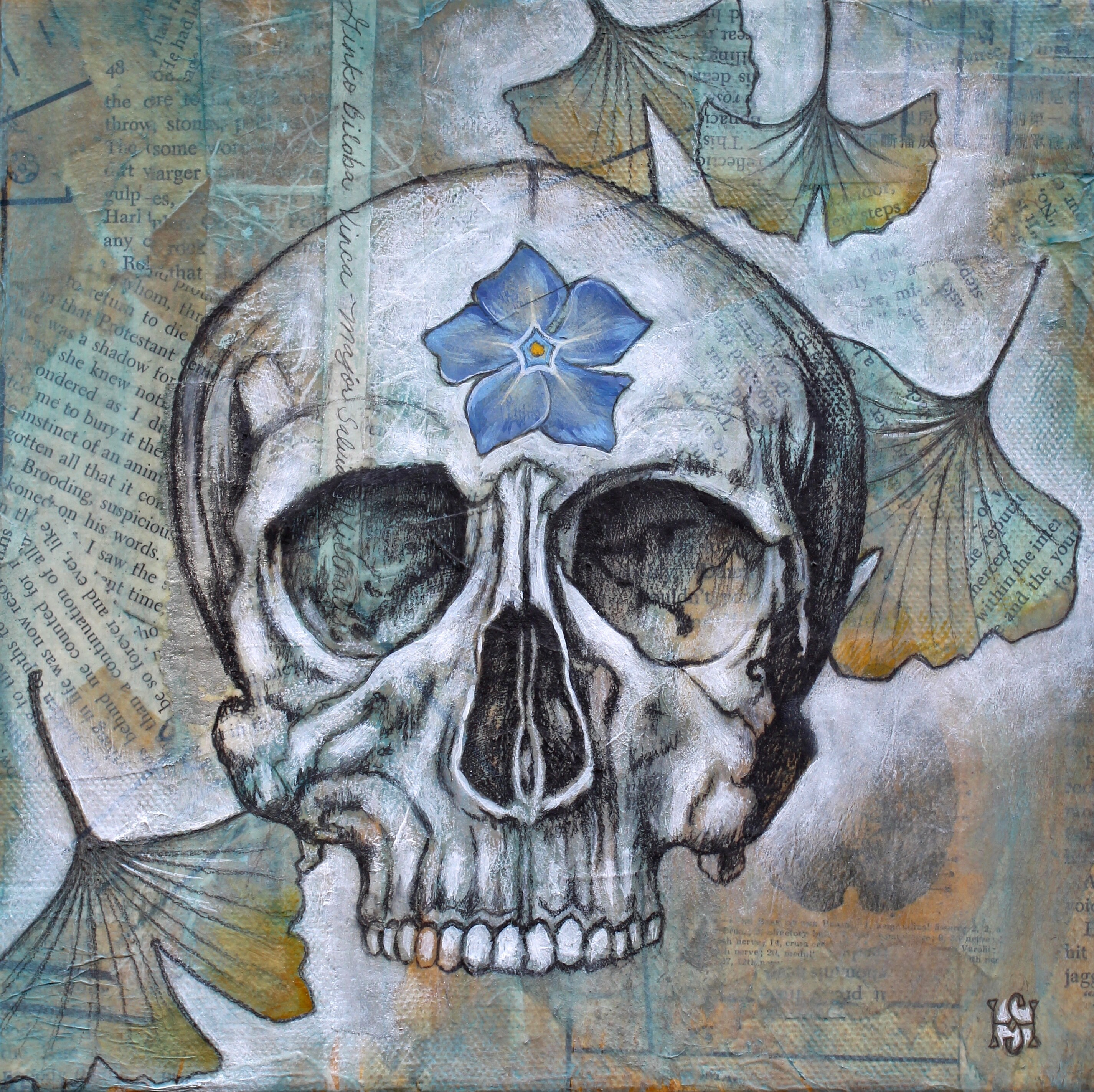 Human Skull,anatomical Art,charcoal,medicinal Plants,drawing,flora ...