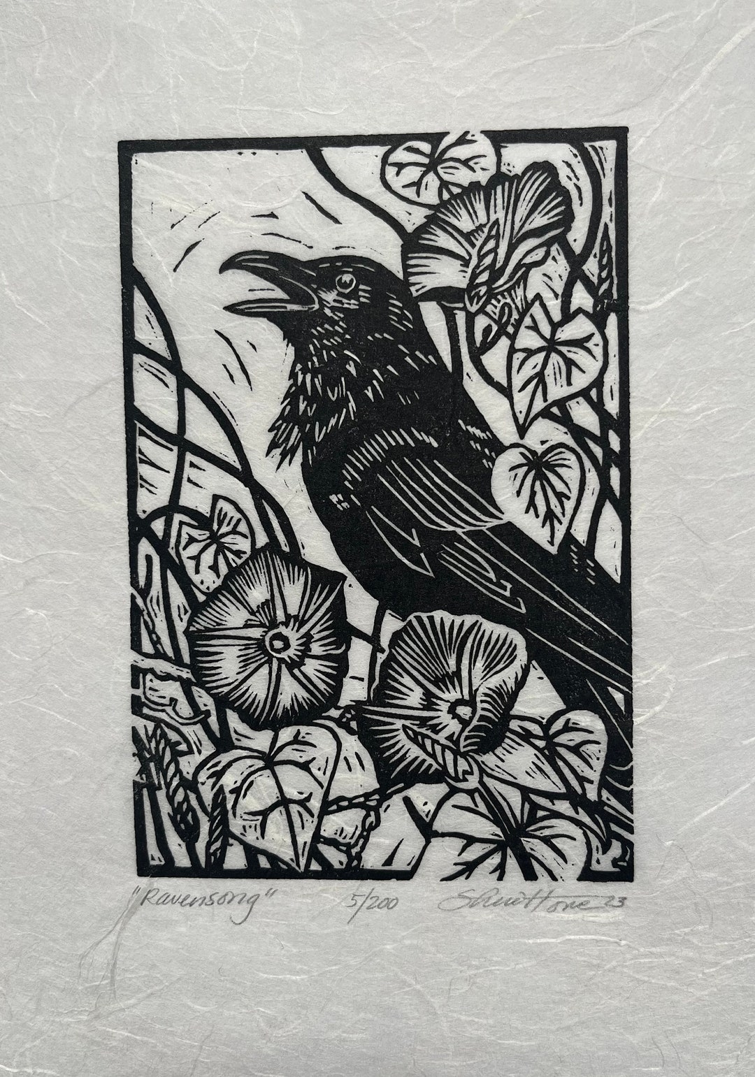 Raven,blackbird,corvus Corax,corvid,lino,linocut,morning Glory,botnical ...