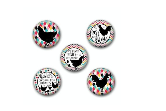 Crazy Chicken Lady Gifts Chicken Kitchen Decor Fridge - Etsy