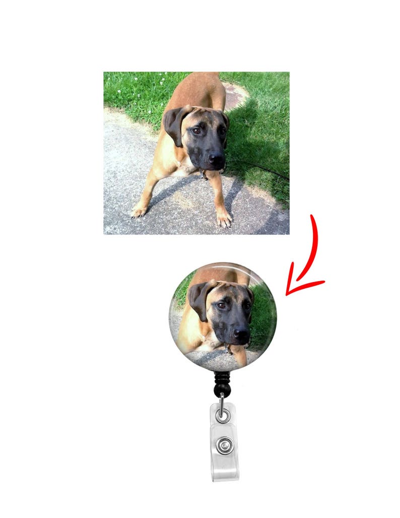 Custom Pet Photo Retractable Badge Reel Pet ID Badge Badge - Etsy
