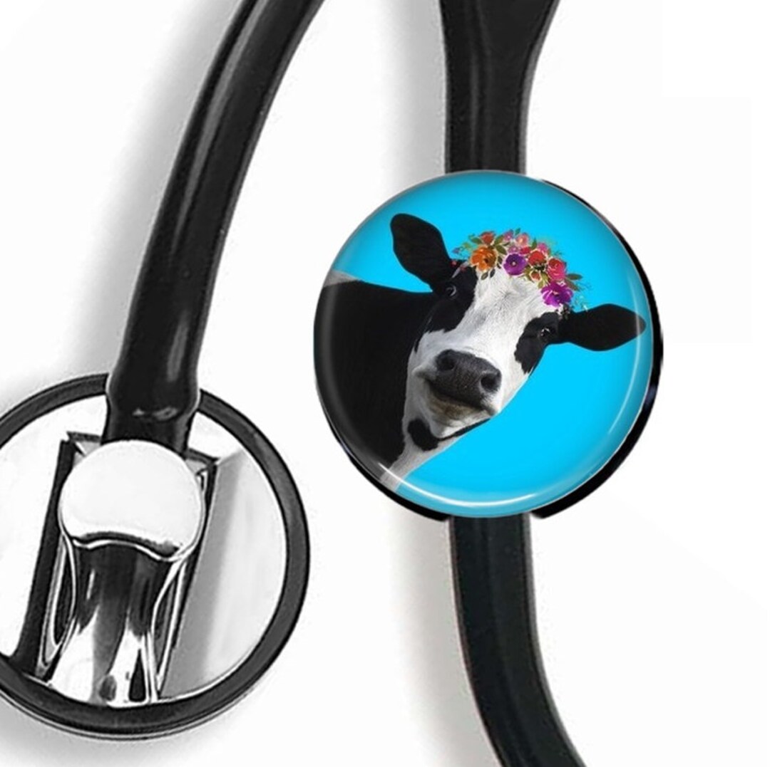 Funny Stethoscope ID Tag Nurse Graduation Gift Medical Gift Nurse Gift ...