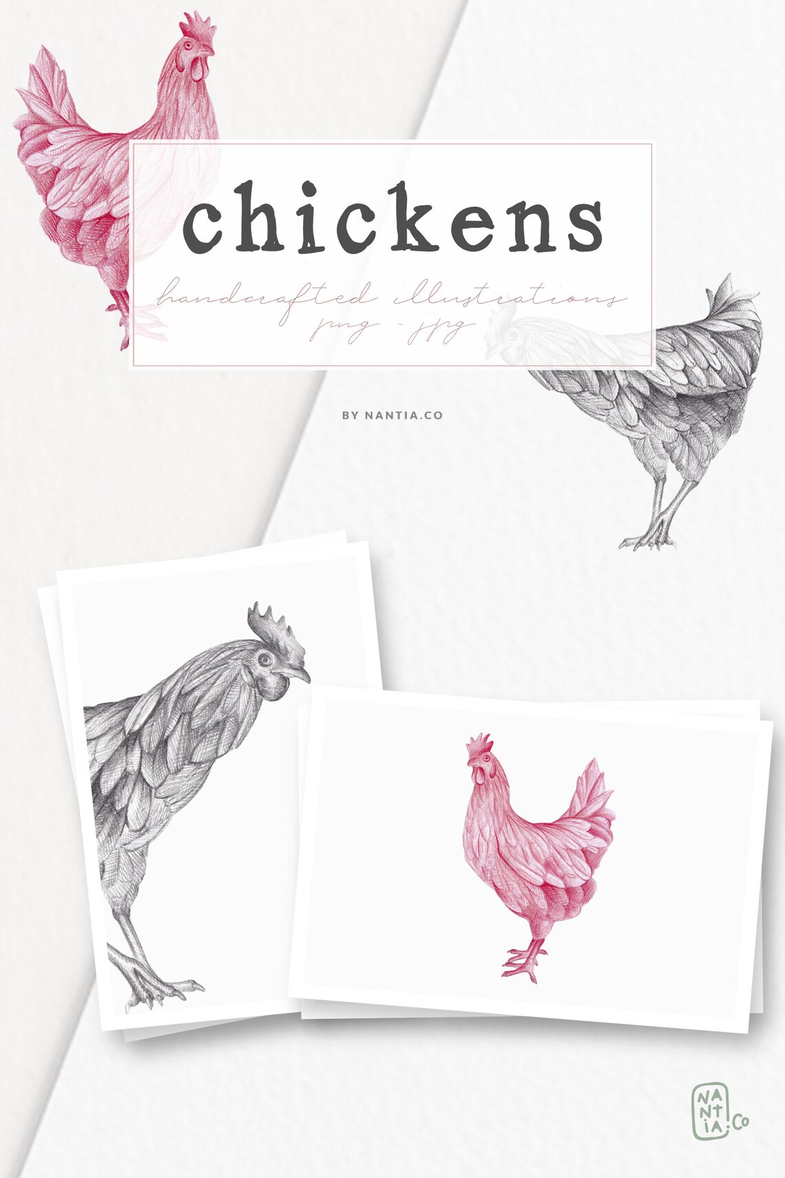 Hand-drawn Chicken Illustrations - Etsy