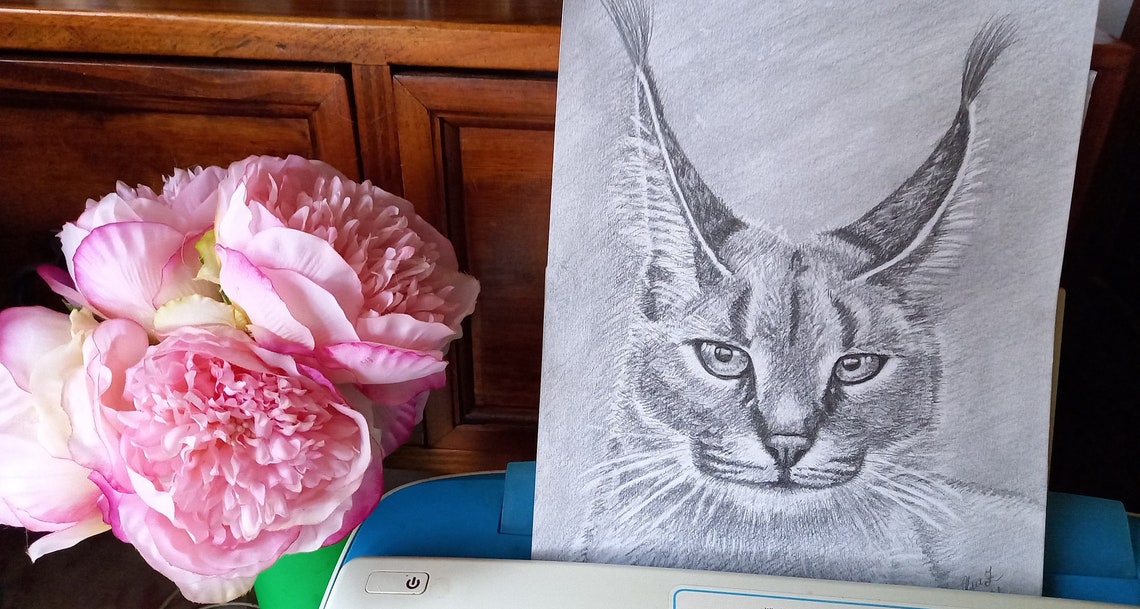 Pencil Drawing Art of Lynx Realistic Pencil Drawing - Etsy