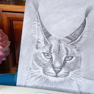 Pencil Drawing Art of Lynx, Realistic Pencil Drawing, Realistic Wild ...