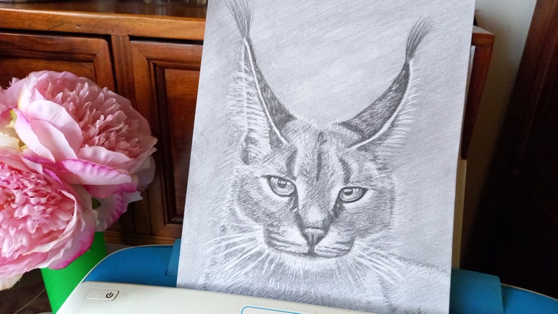 Pencil Drawing Art of Lynx, Realistic Pencil Drawing, Realistic Wild ...