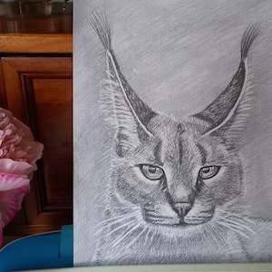 Pencil Drawing Art of Lynx, Realistic Pencil Drawing, Realistic Wild ...