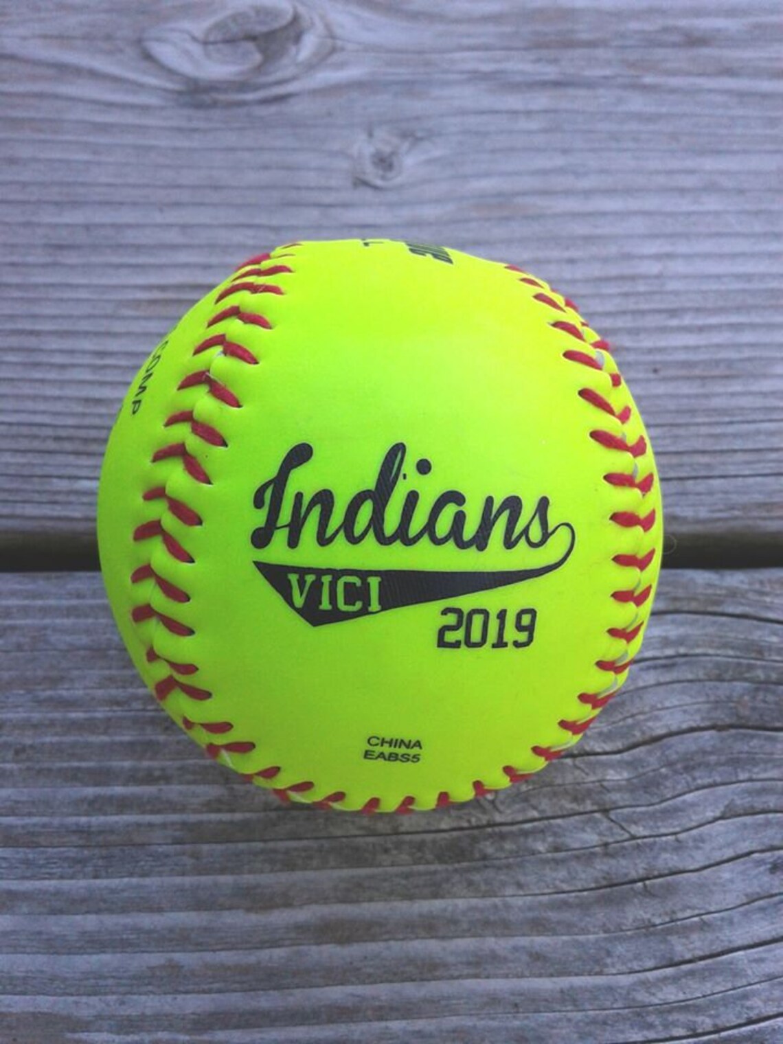 Custom Softball Personalized Softball Coach Gift Team | Etsy