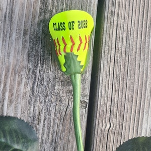 Blooming Softball Long Stem Rose With or Without Customized Print Added ...