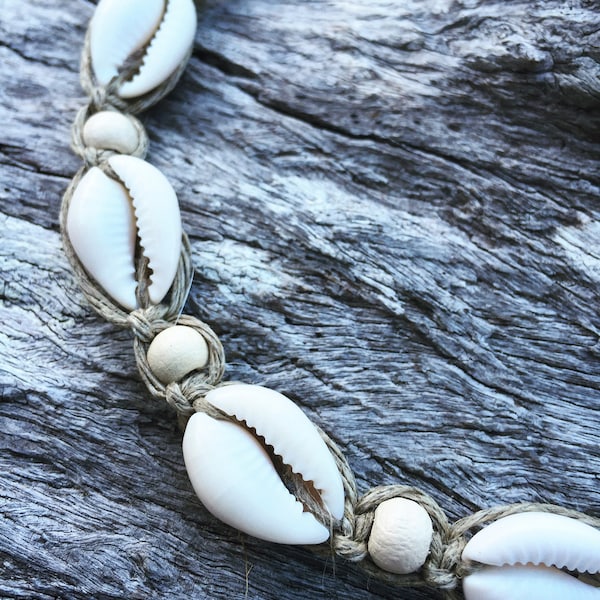 Cowrie Shell - Etsy Australia