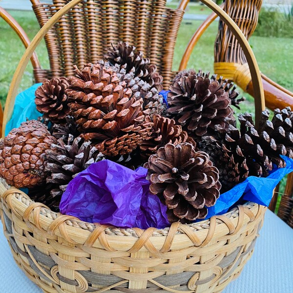 Pinecone Basket - Etsy