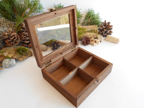 I made a cheap blue light transilluminator (no electronics skills ...