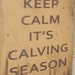 Keep Calm, It's Calving Season, Western, Antiqued, Humorous, Wooden ...